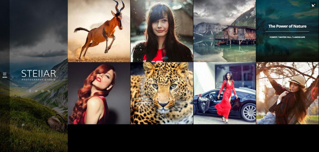 Stellar - Draft Plate